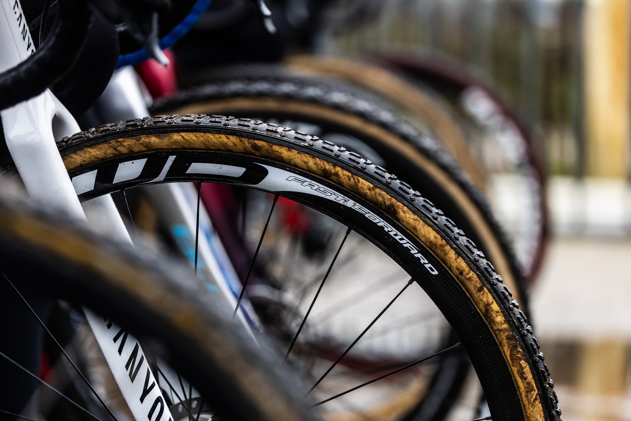 KNWU breidt staf uit met Rob Meeuwessen - Brabant Cycling